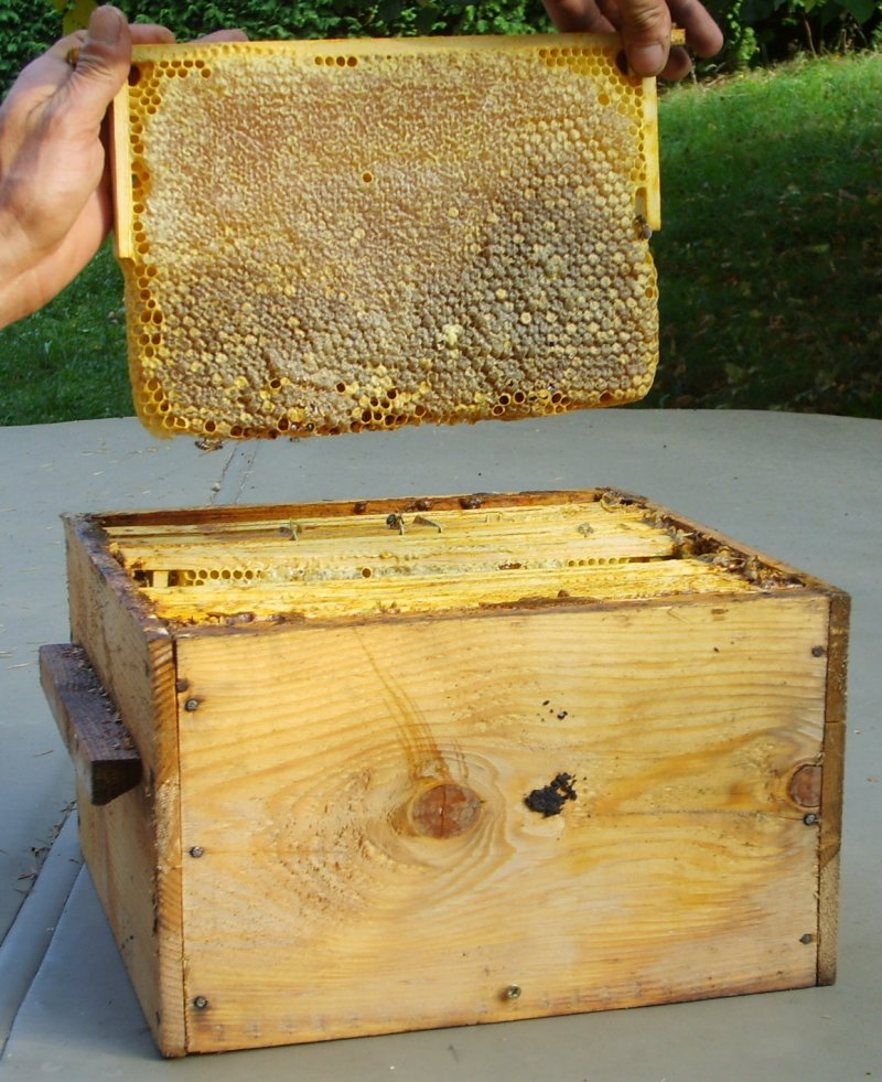 The Warré beehive – Sprucing the Goose