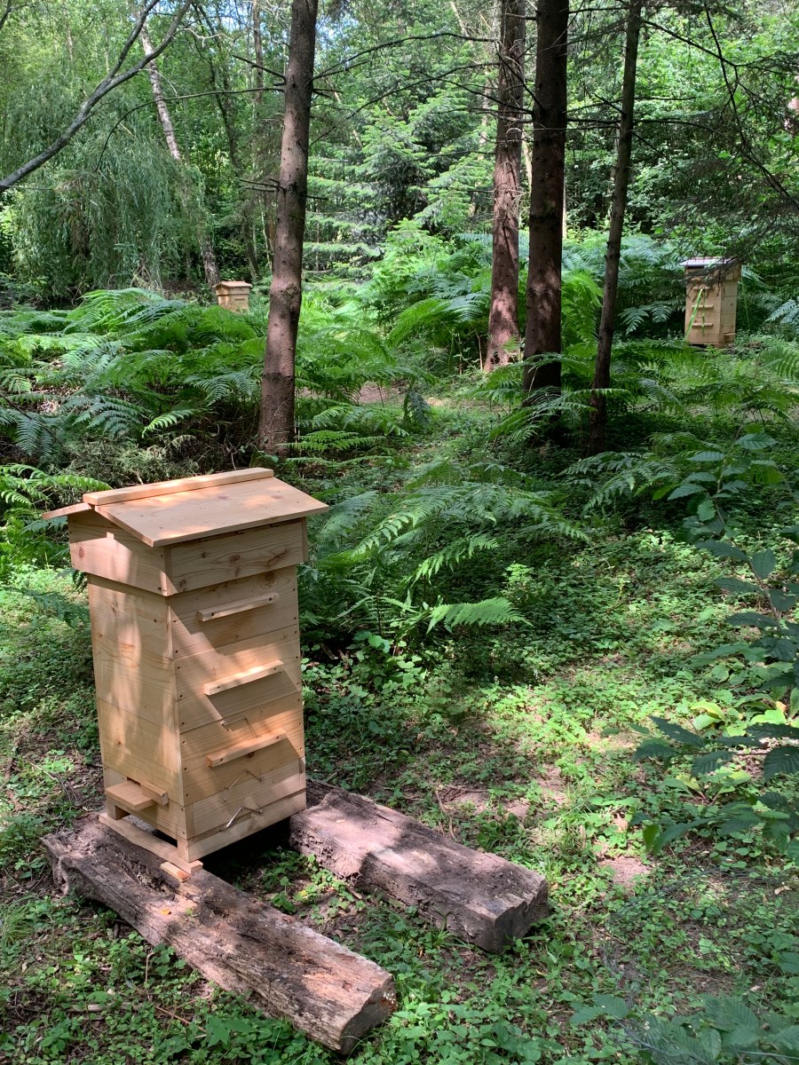 The Warré beehive – Sprucing the Goose